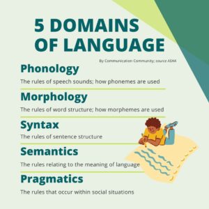 5 Components of Language - Communication Station Ga